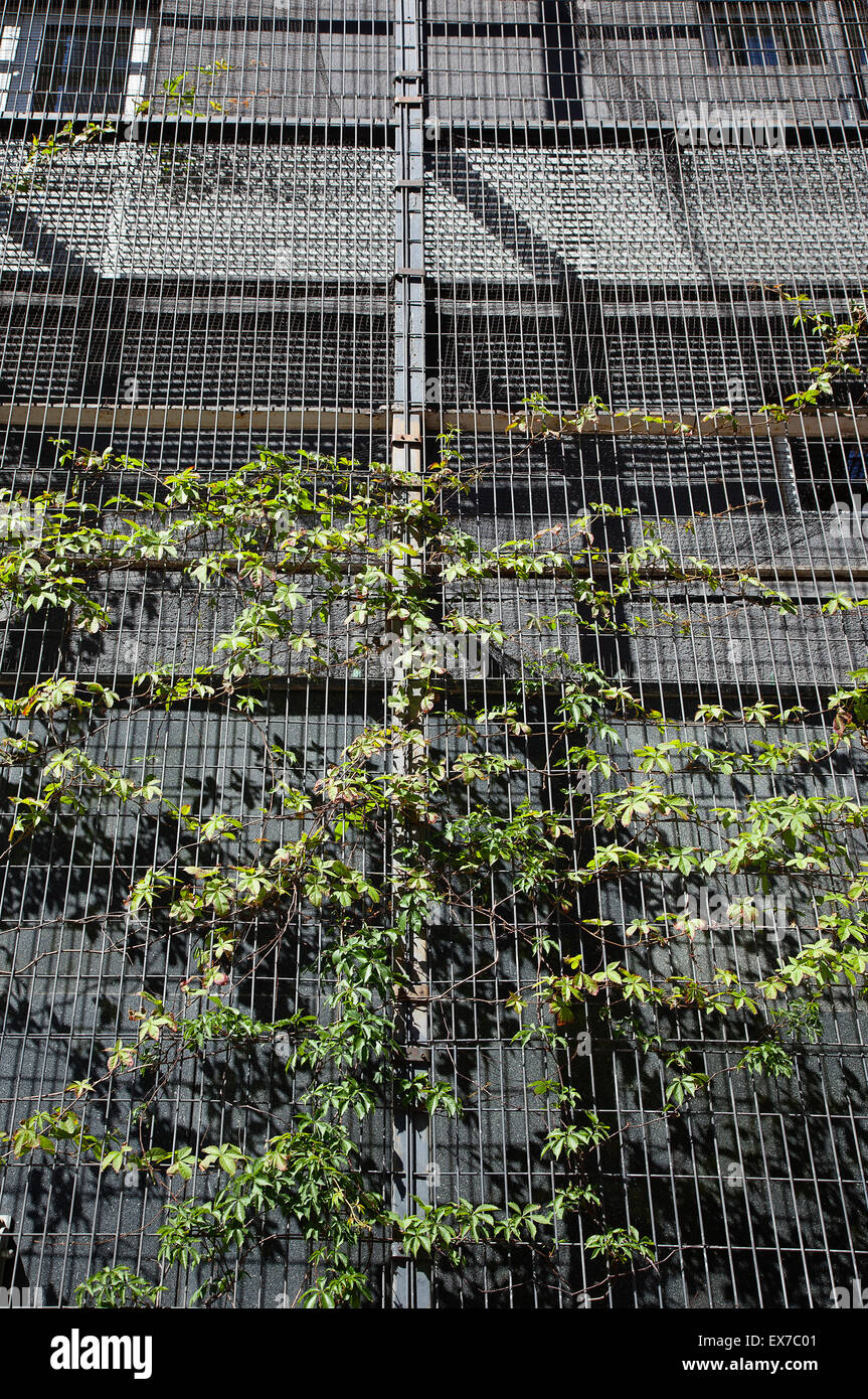 Wire frame hi-res stock photography and images - Alamy