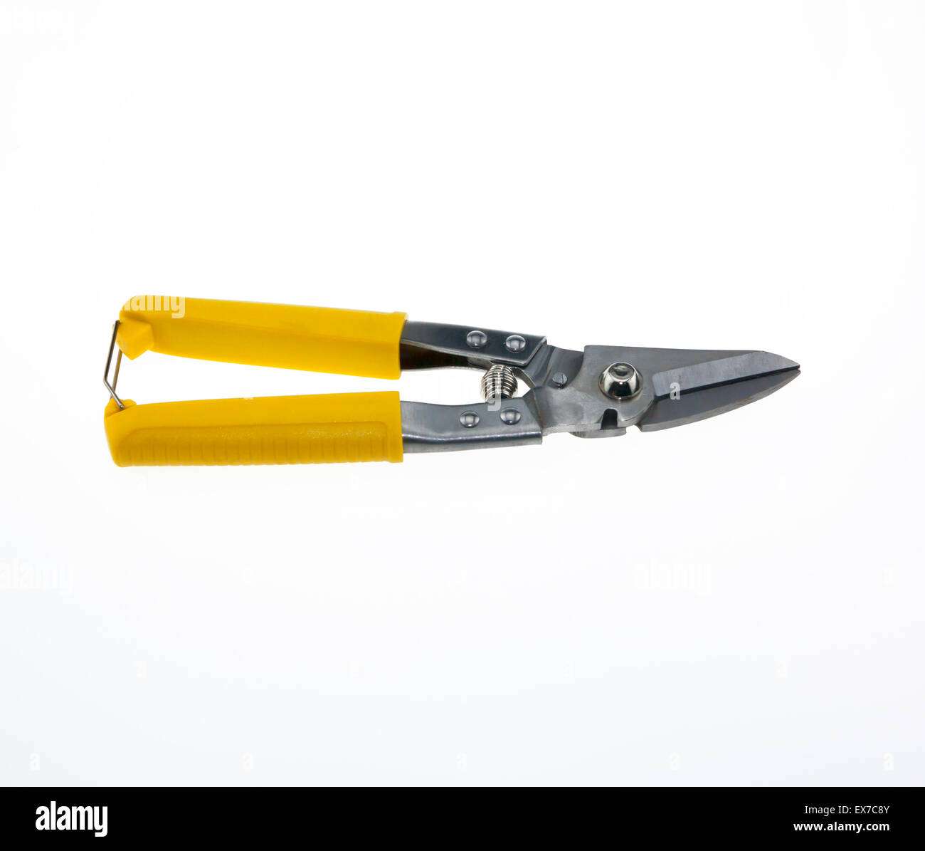 Scissors cutting branches isolated on white background Stock Photo - Alamy