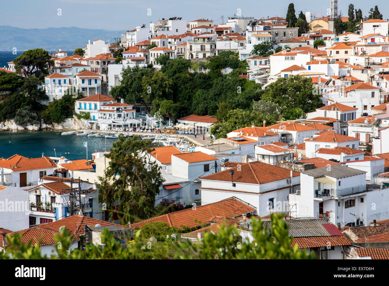 Greece skiathos dolphin hi-res stock photography and images - Alamy
