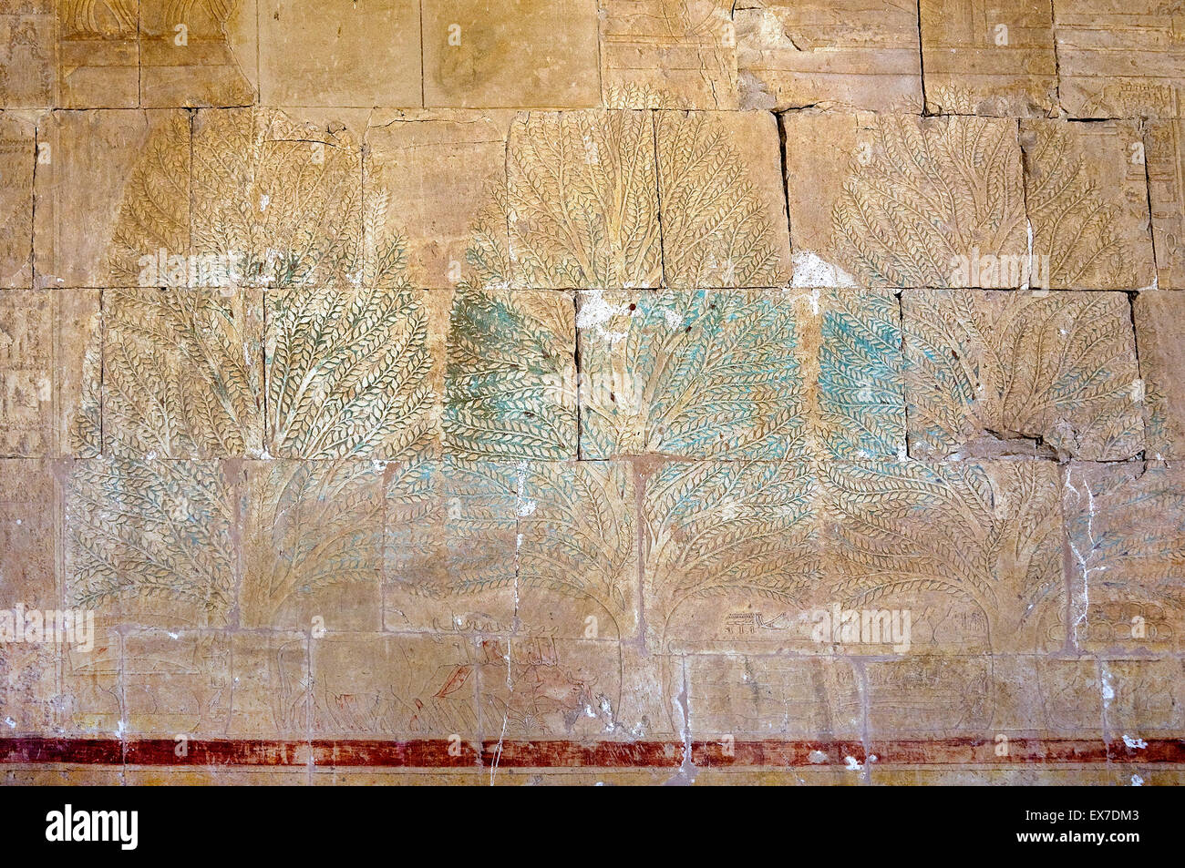 Hatshepsut temple punt relief hi-res stock photography and images - Alamy