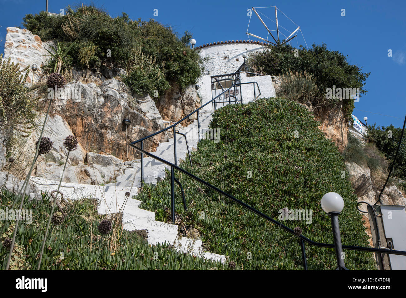 Greece skiathos dolphin hi-res stock photography and images - Alamy