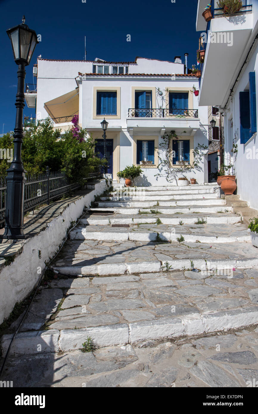 Greece skiathos dolphin hi-res stock photography and images - Alamy