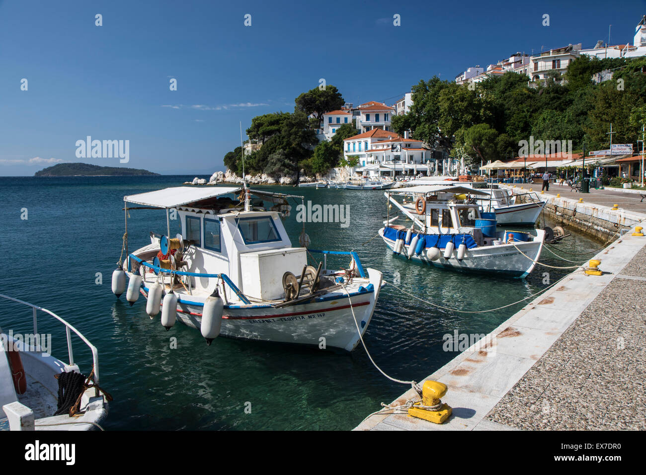 Greece skiathos dolphin hi-res stock photography and images - Alamy