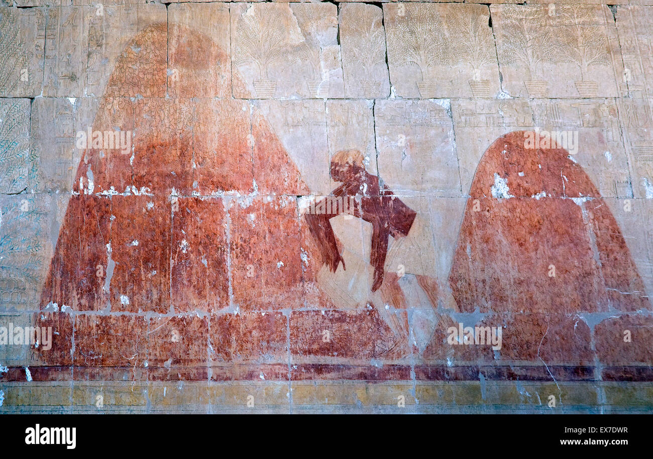 Hatshepsut temple punt relief hi-res stock photography and images - Alamy