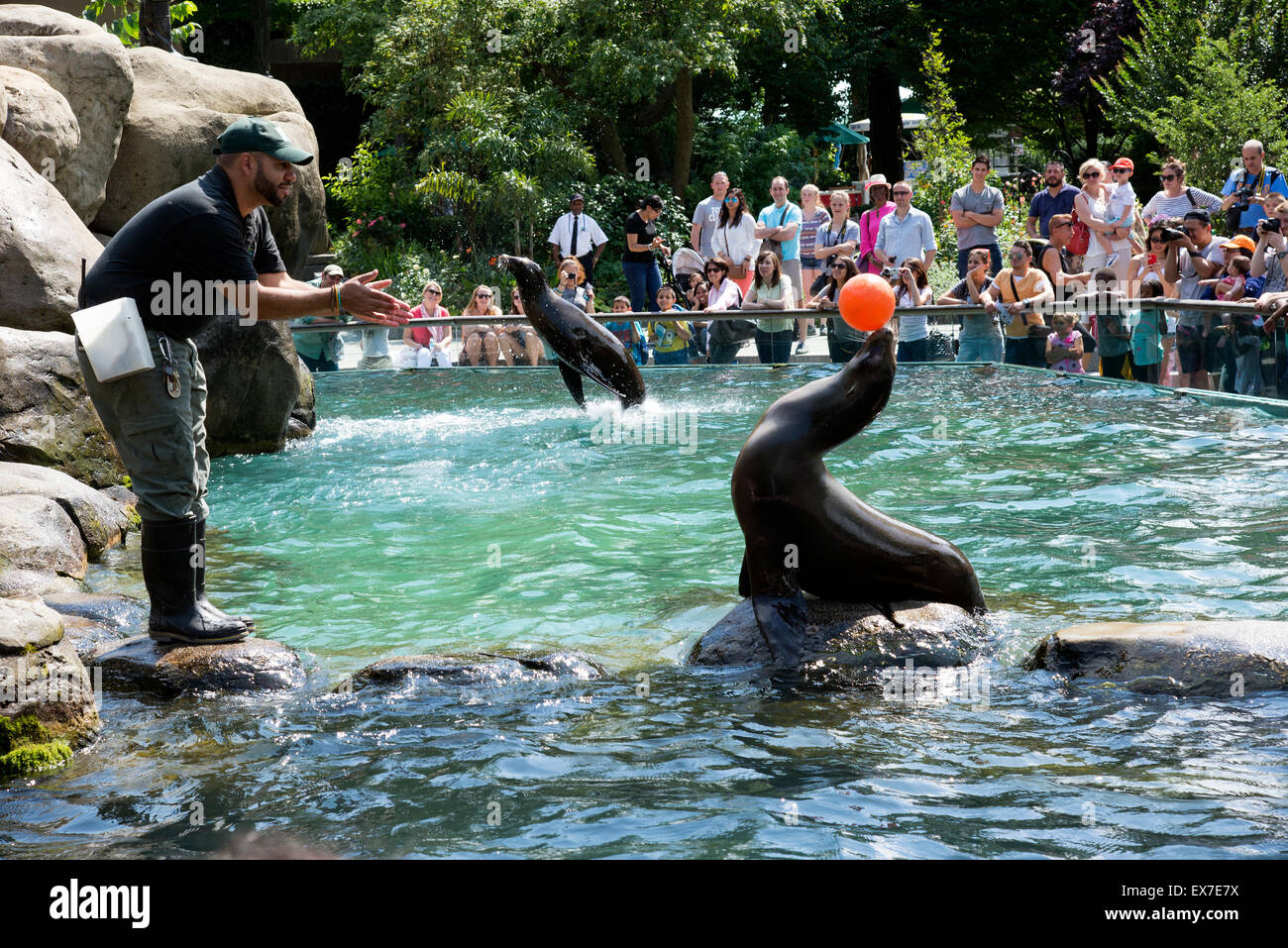 Central park zoo hi-res stock photography and images - Alamy
