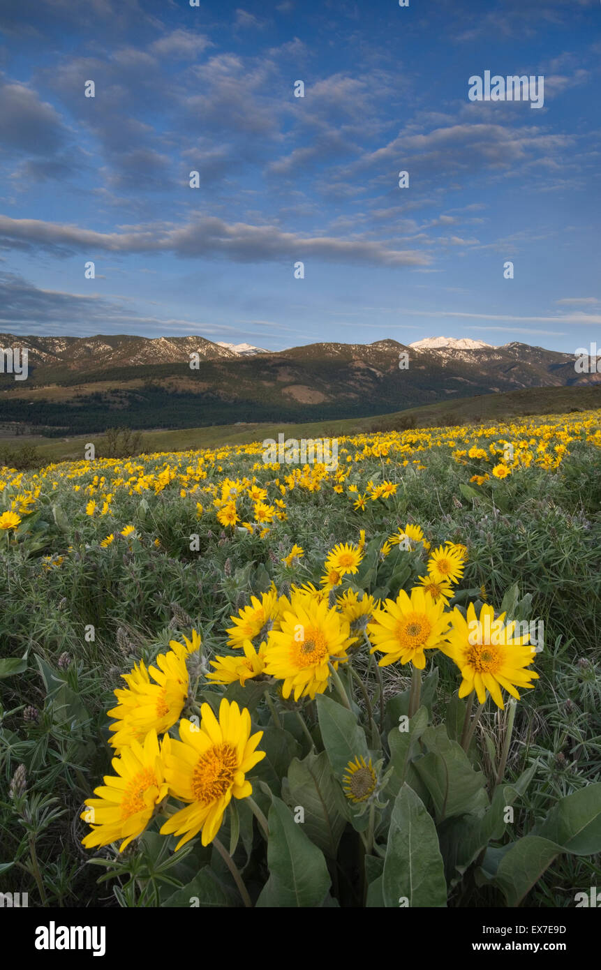 Methow valley hi-res stock photography and images - Alamy