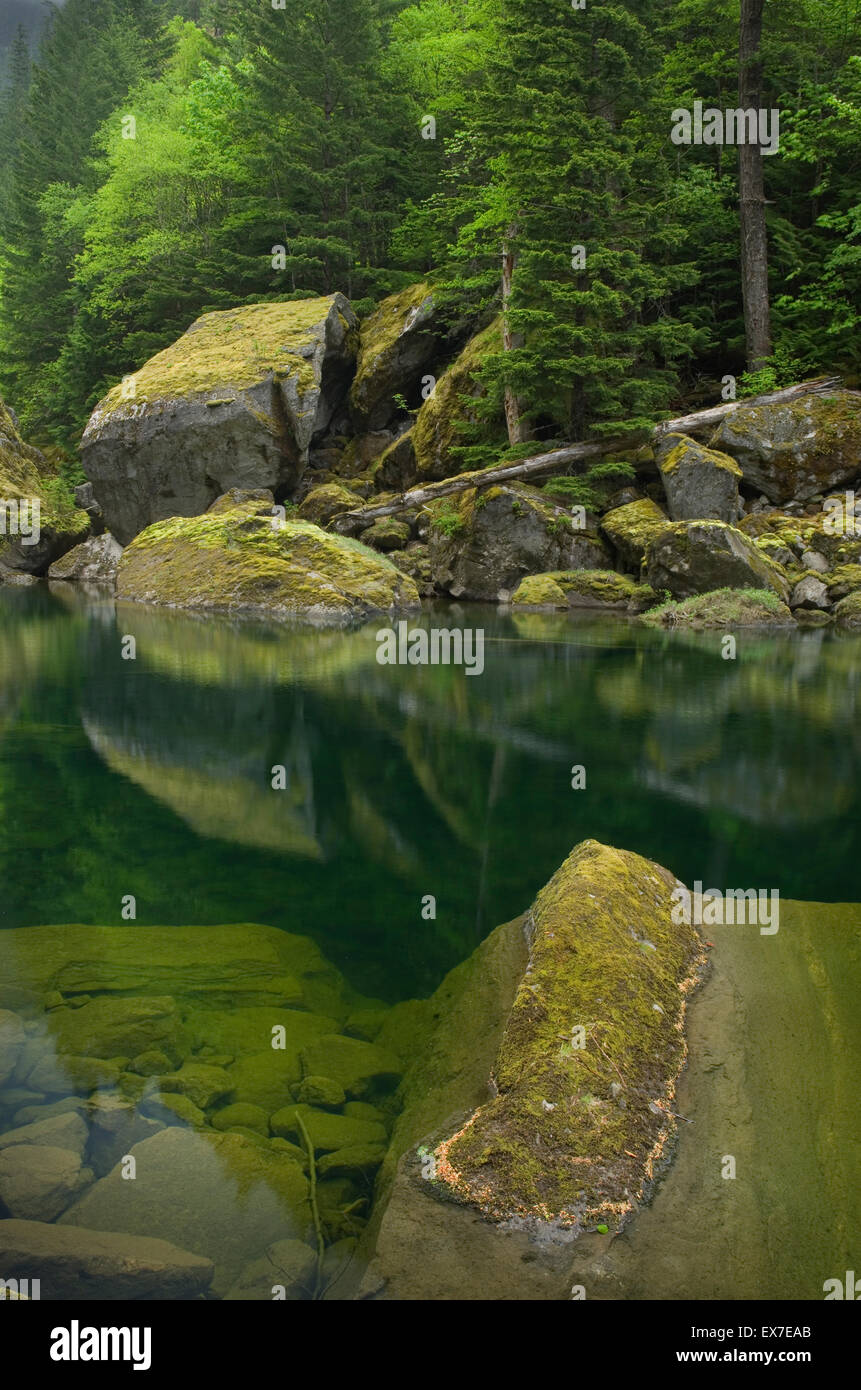 Washington ross lake national recreation area hi-res stock photography ...