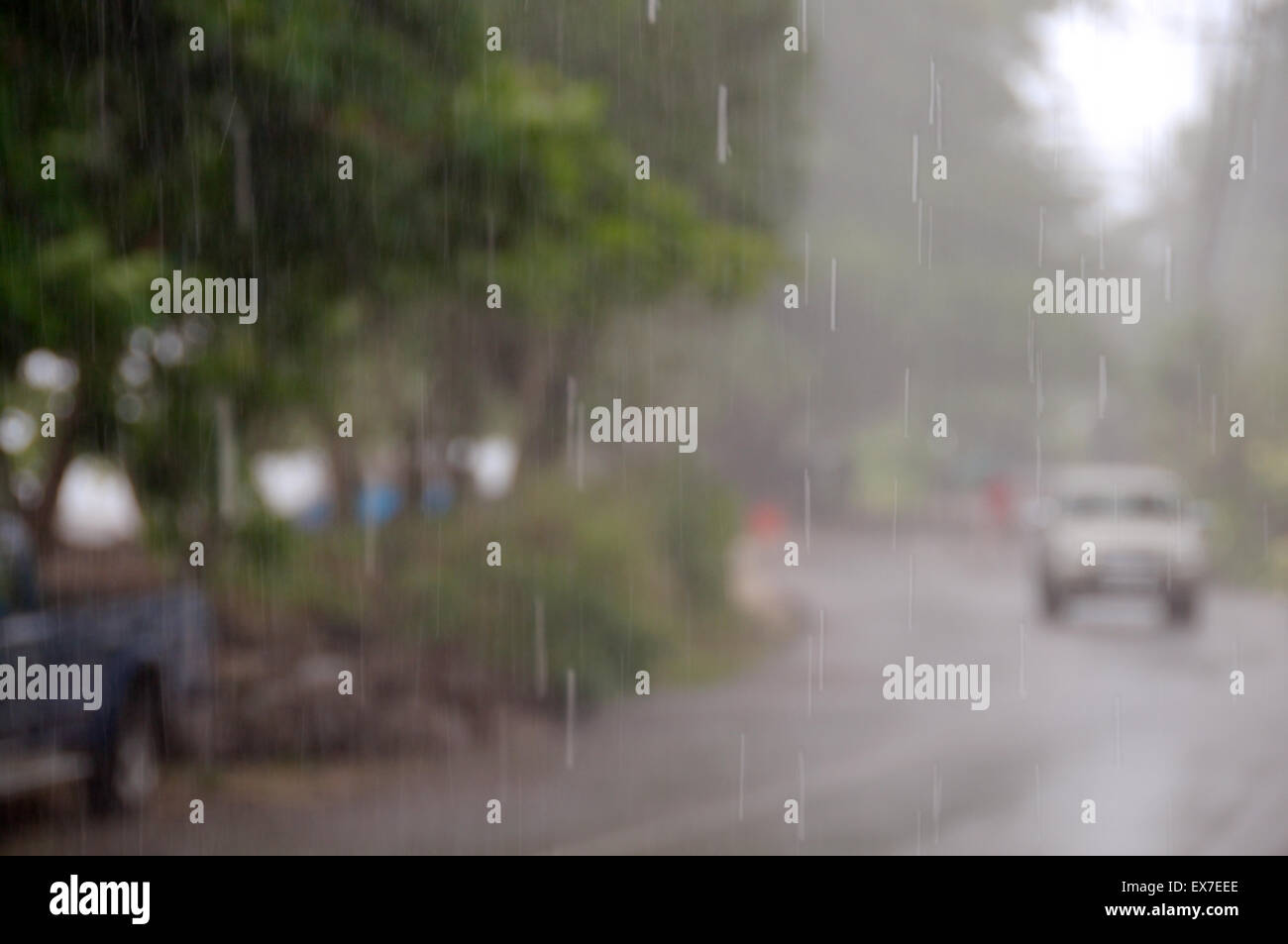 Tropical rain, Mahe island, Seychelles Stock Photo - Alamy
