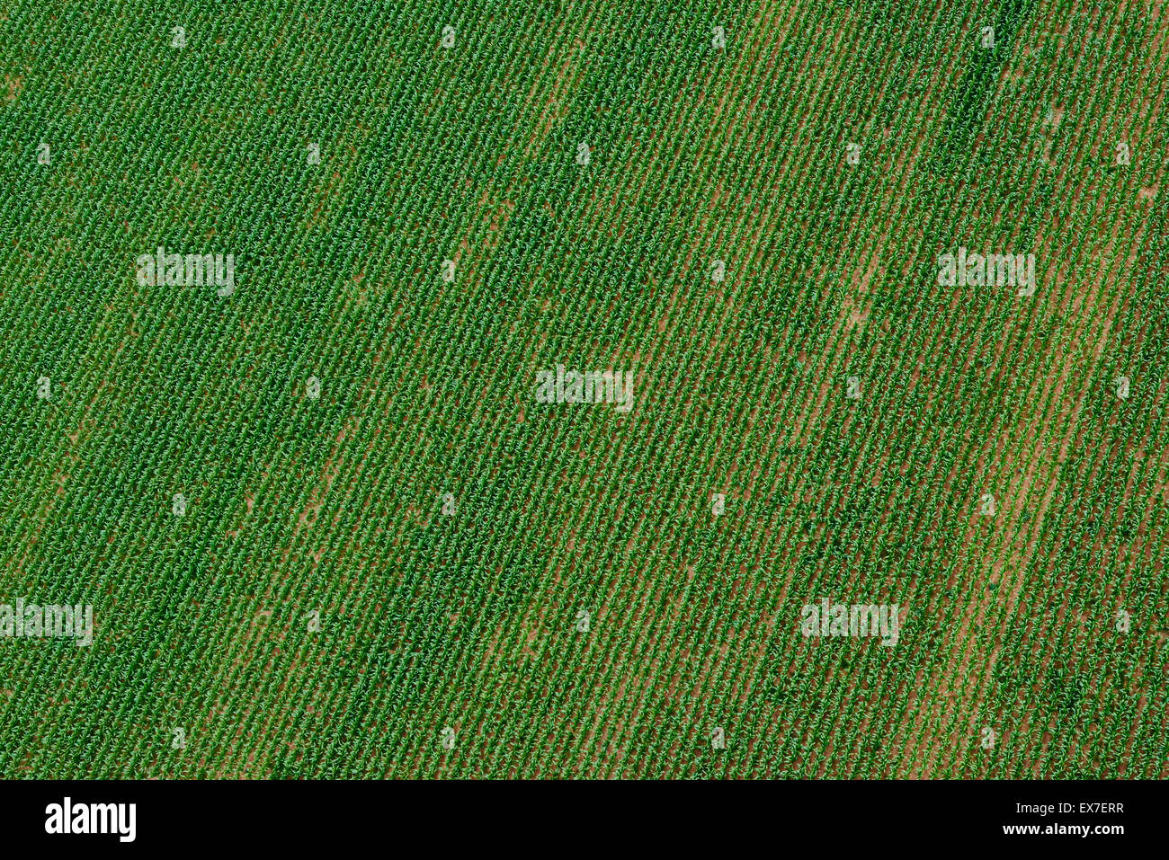 Aerial view of fields, agriculture Stock Photo - Alamy