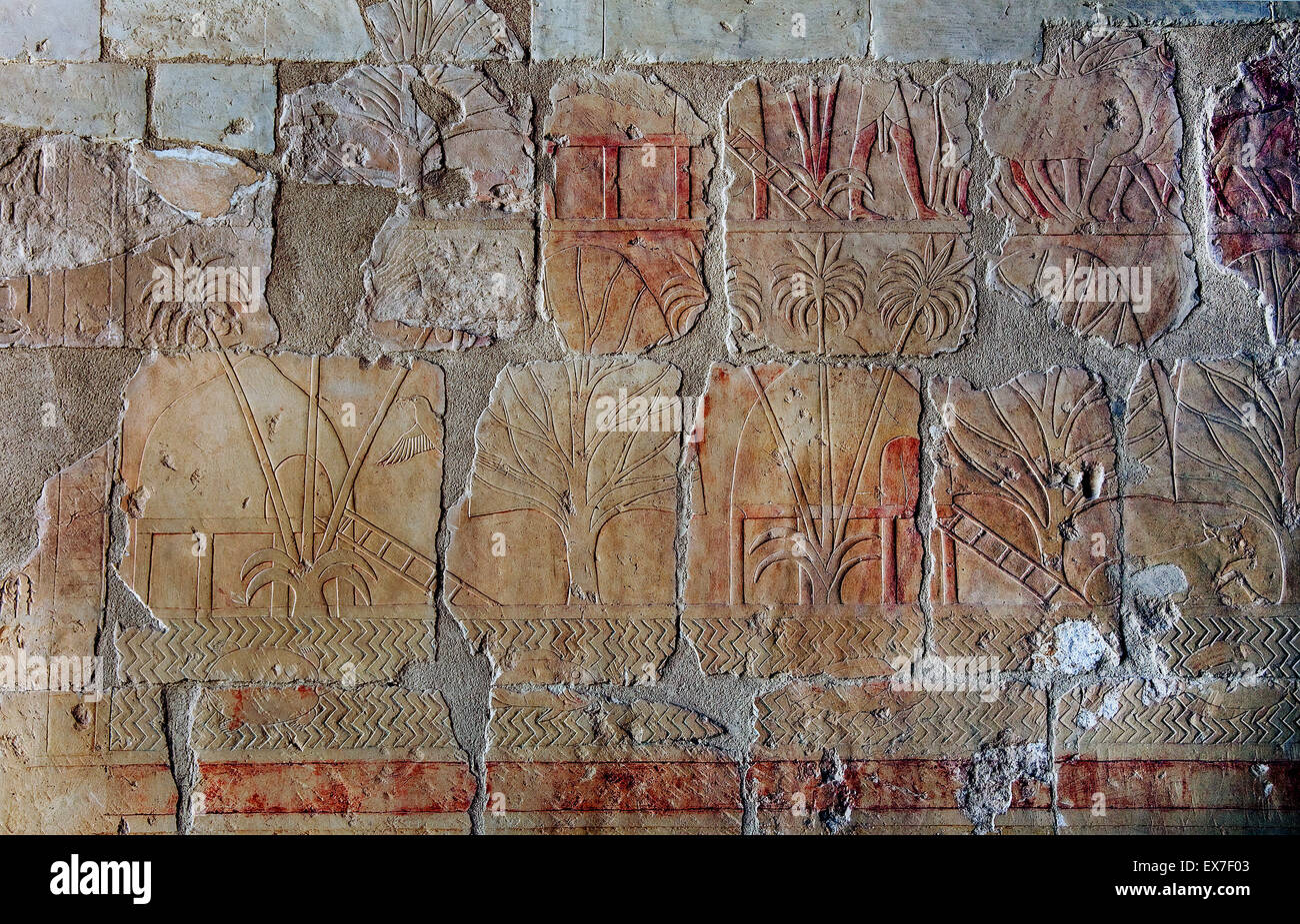 Hatshepsut temple punt relief hi-res stock photography and images - Alamy