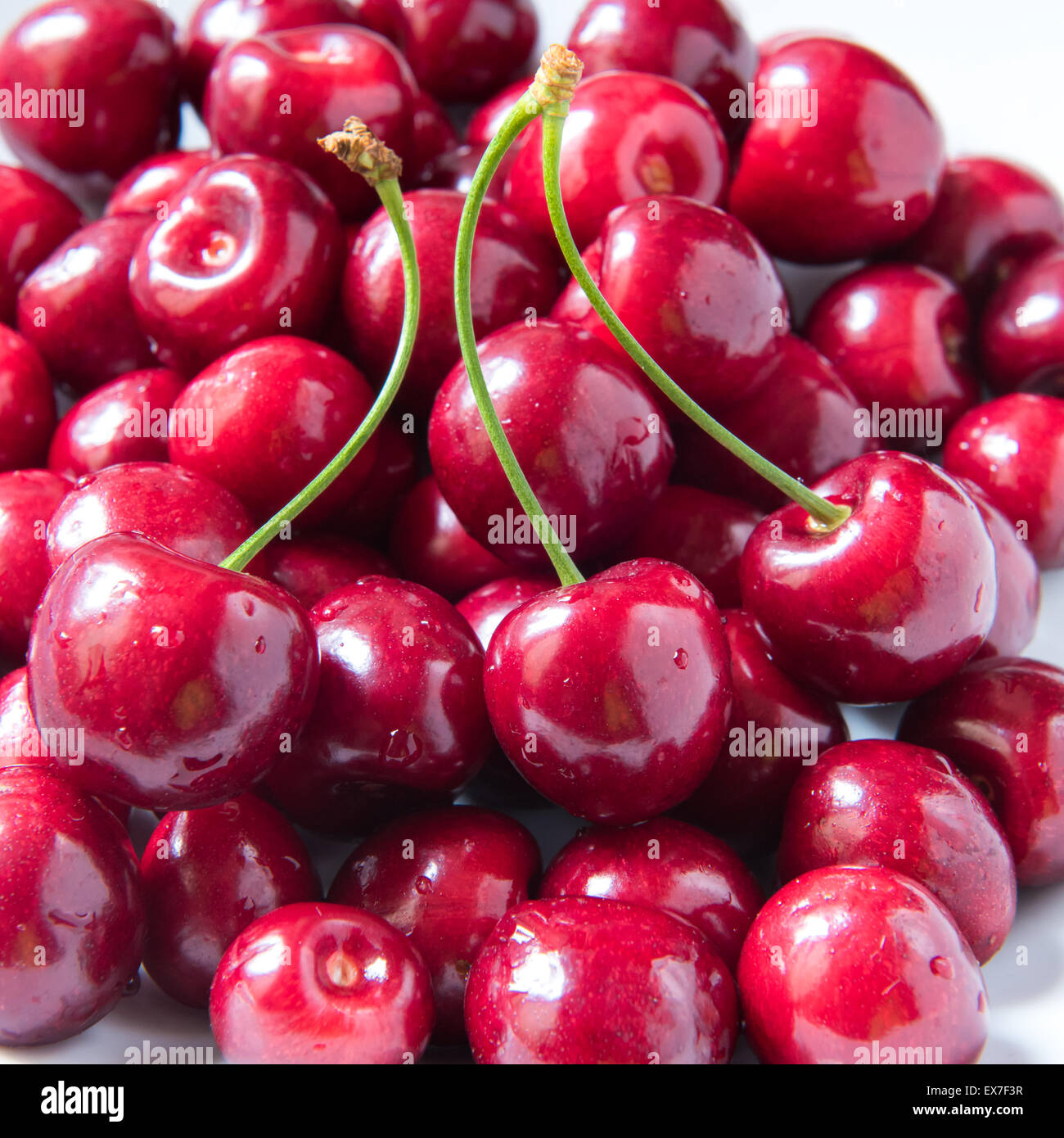 Bowl of red fresh cerries on a white background Stock Photo - Alamy