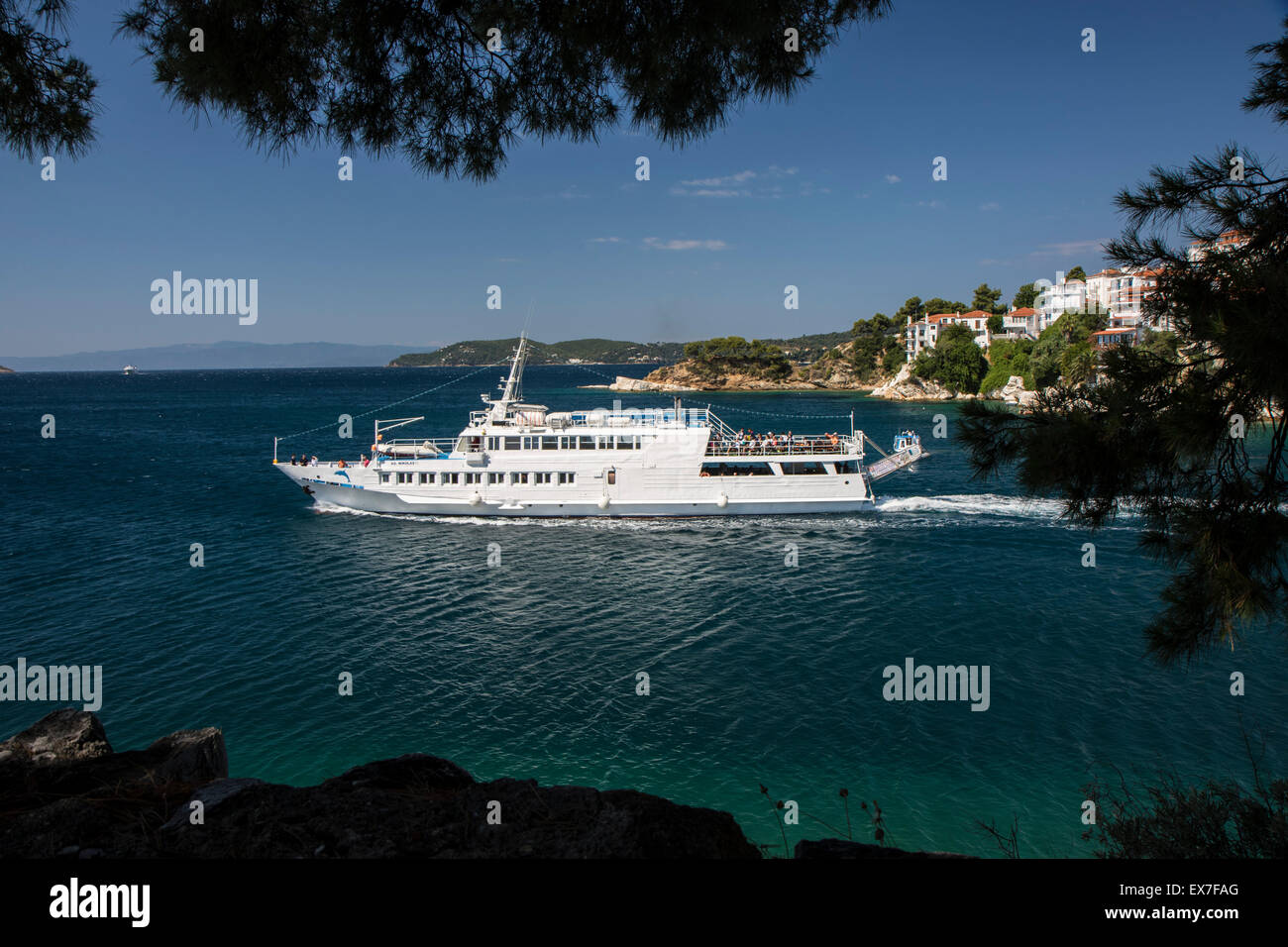 Greece skiathos dolphin hi-res stock photography and images - Alamy