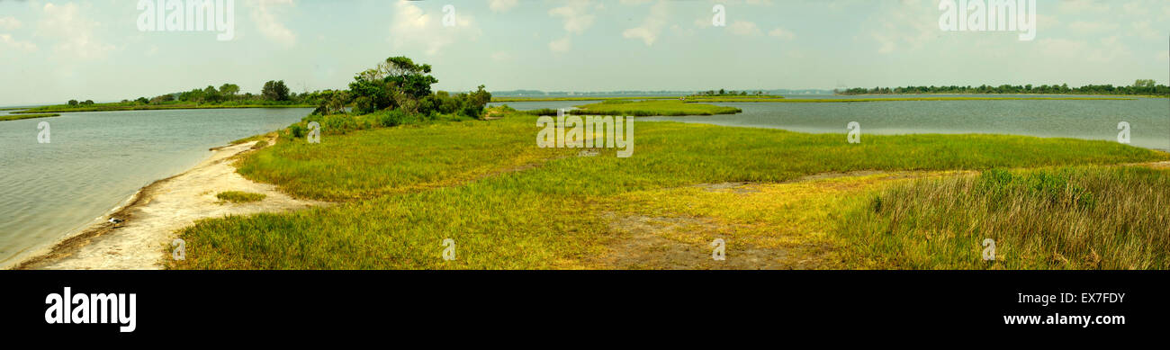 salt marsh at Assateague Island National Seashore, Maryland Stock Photo ...