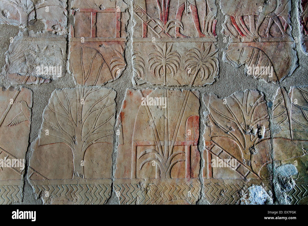 Hatshepsut temple punt relief hi-res stock photography and images - Alamy