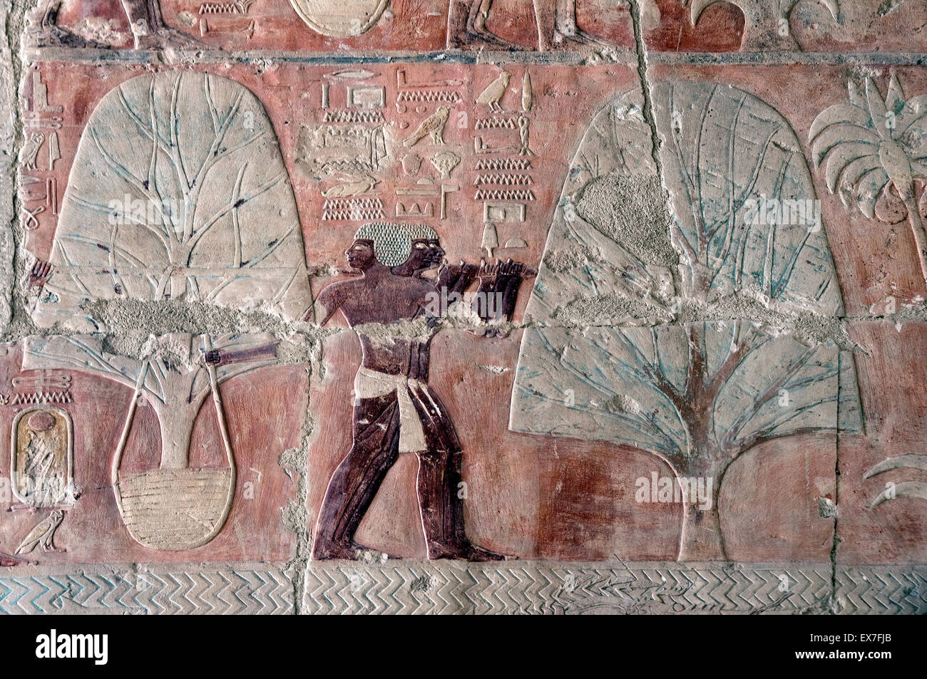 Hatshepsut temple punt relief hi-res stock photography and images - Alamy