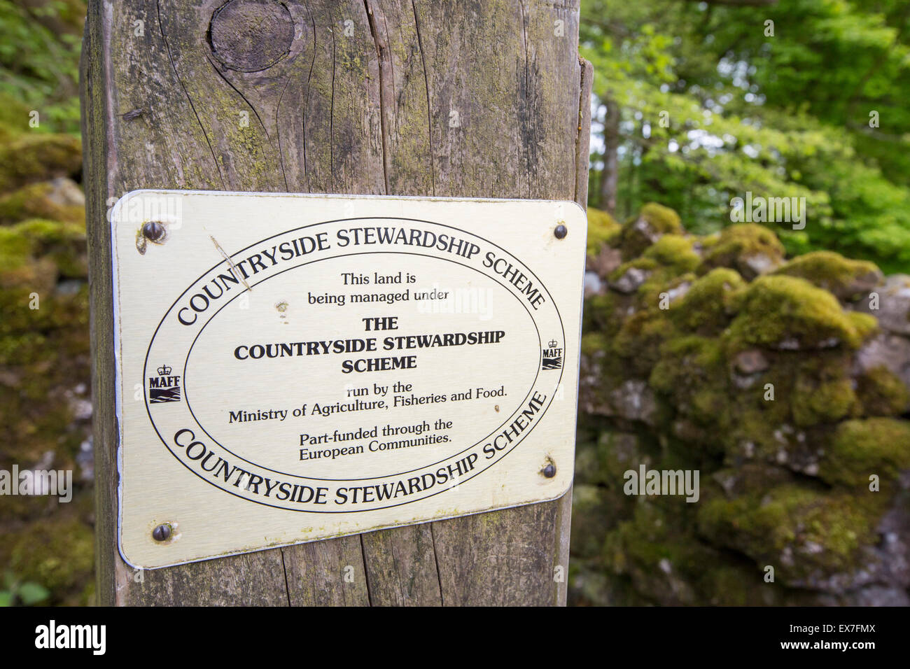 Land being managed under the Countryside Stewardship Scheme, above ...