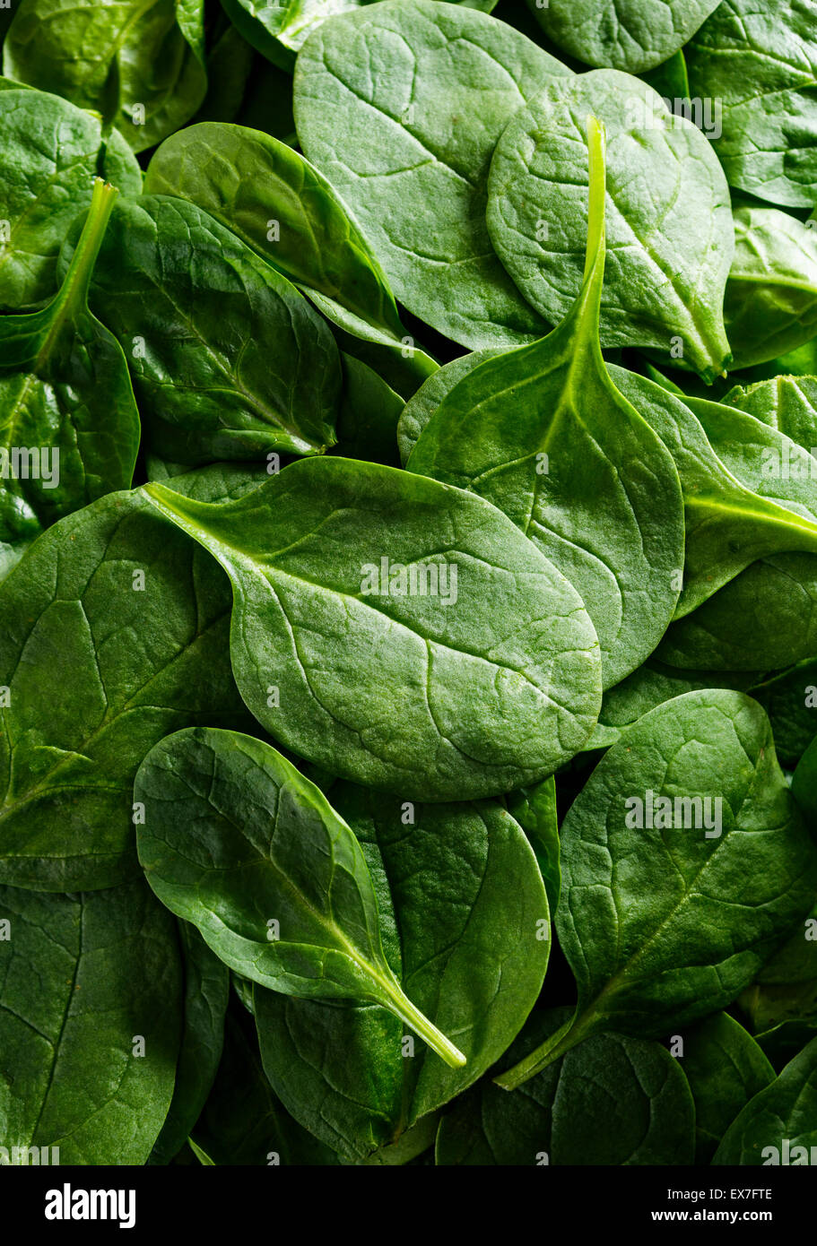 Leafy spinach hi-res stock photography and images - Alamy