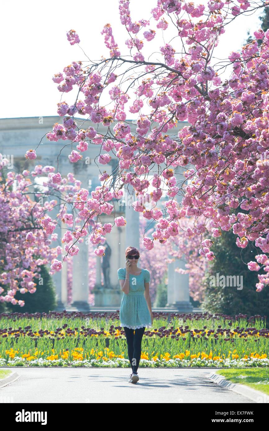 A girl walks through pink blossom in Cathays Park, Cardiff, South Wales ...