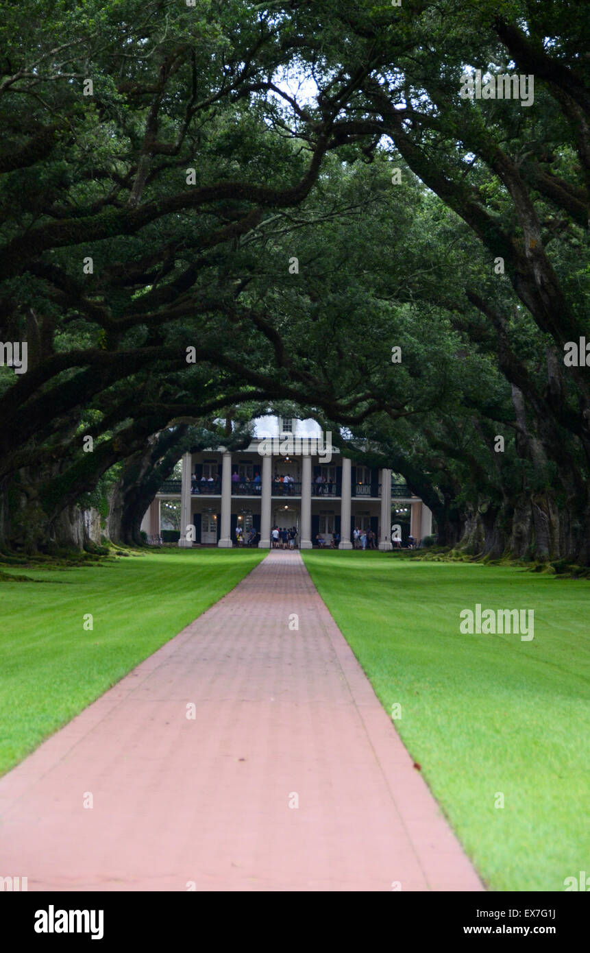 Oak Alley Plantation Stock Photo - Alamy
