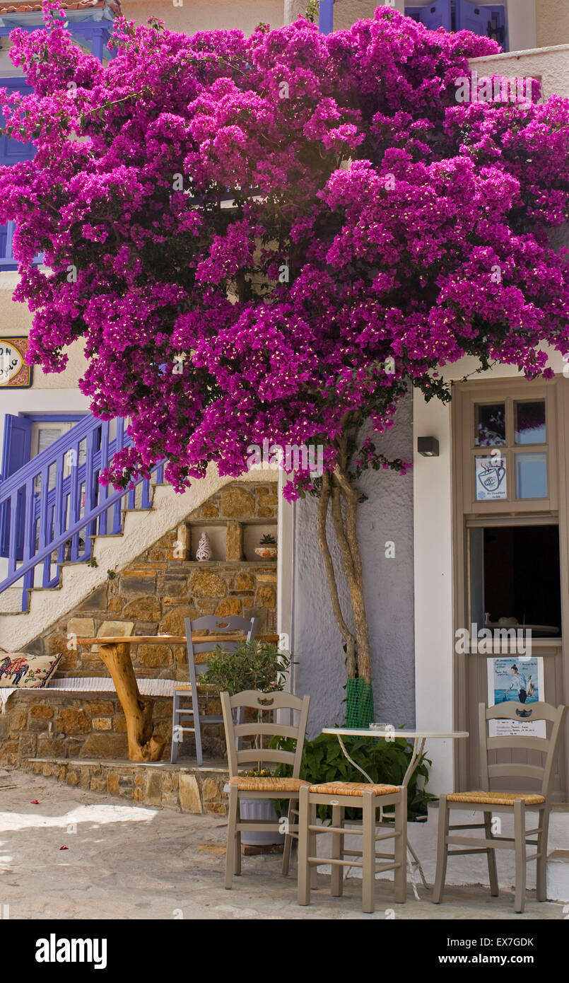 Patitiri Old Town Alonissos Sporades Islands Greece EU European Union ...
