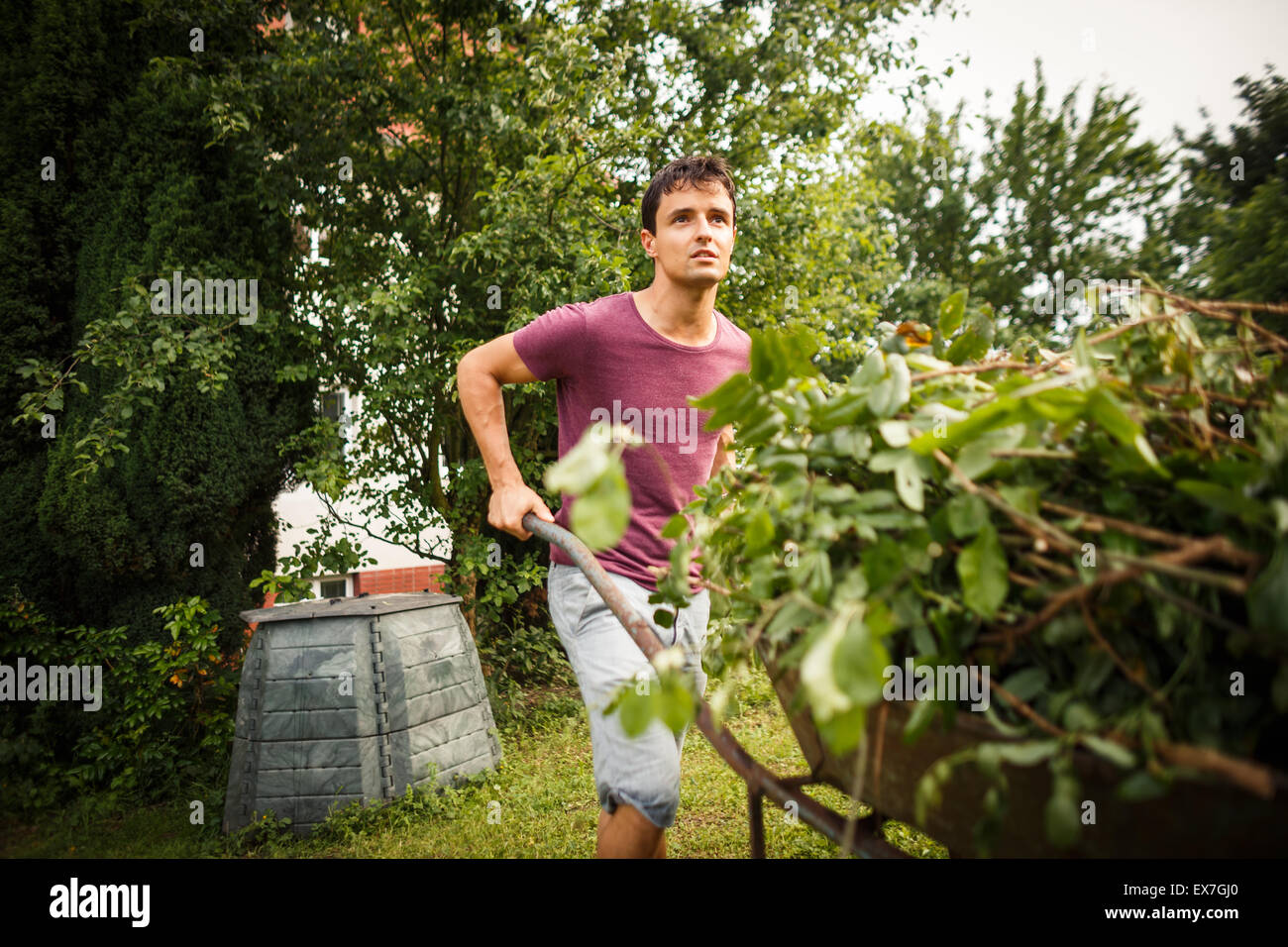 Handsome young man gardening in his garden Stock Photo - Alamy