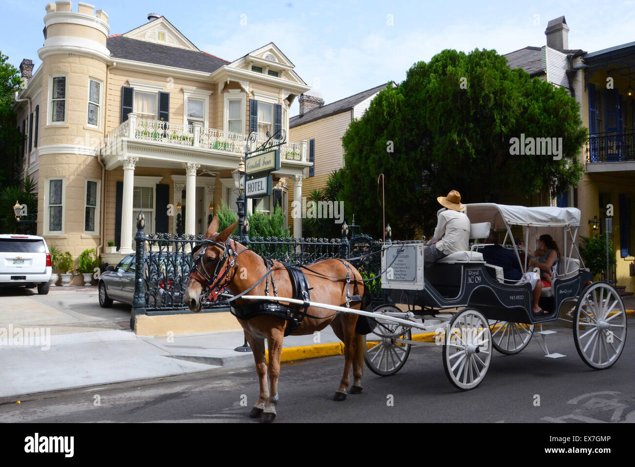 cornstalk hotel new orleans haunted elvis presley french quarter mule ...