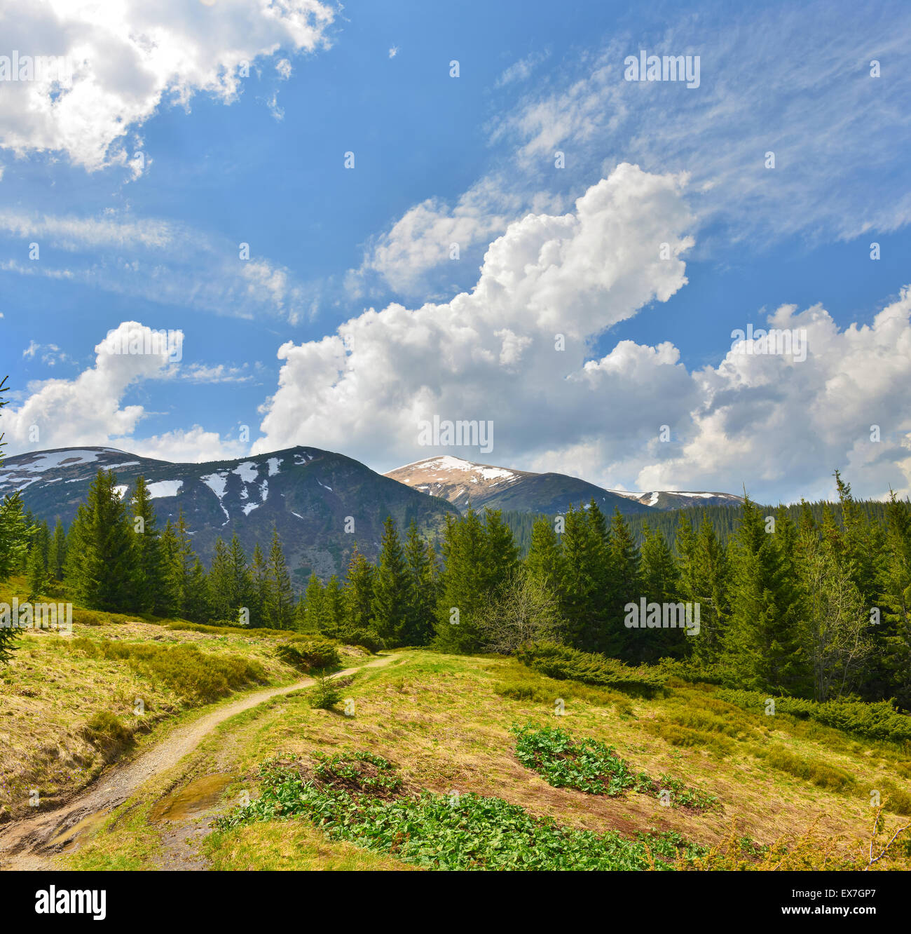 Spring mountains in sunny weather Stock Photo - Alamy