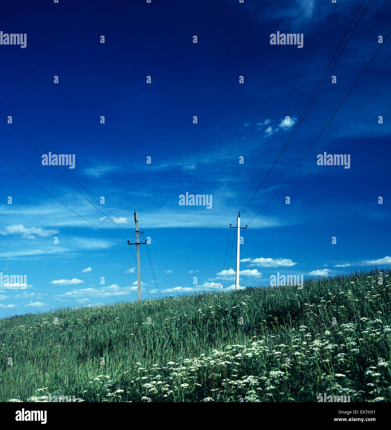 Two posts in a field Stock Photo - Alamy