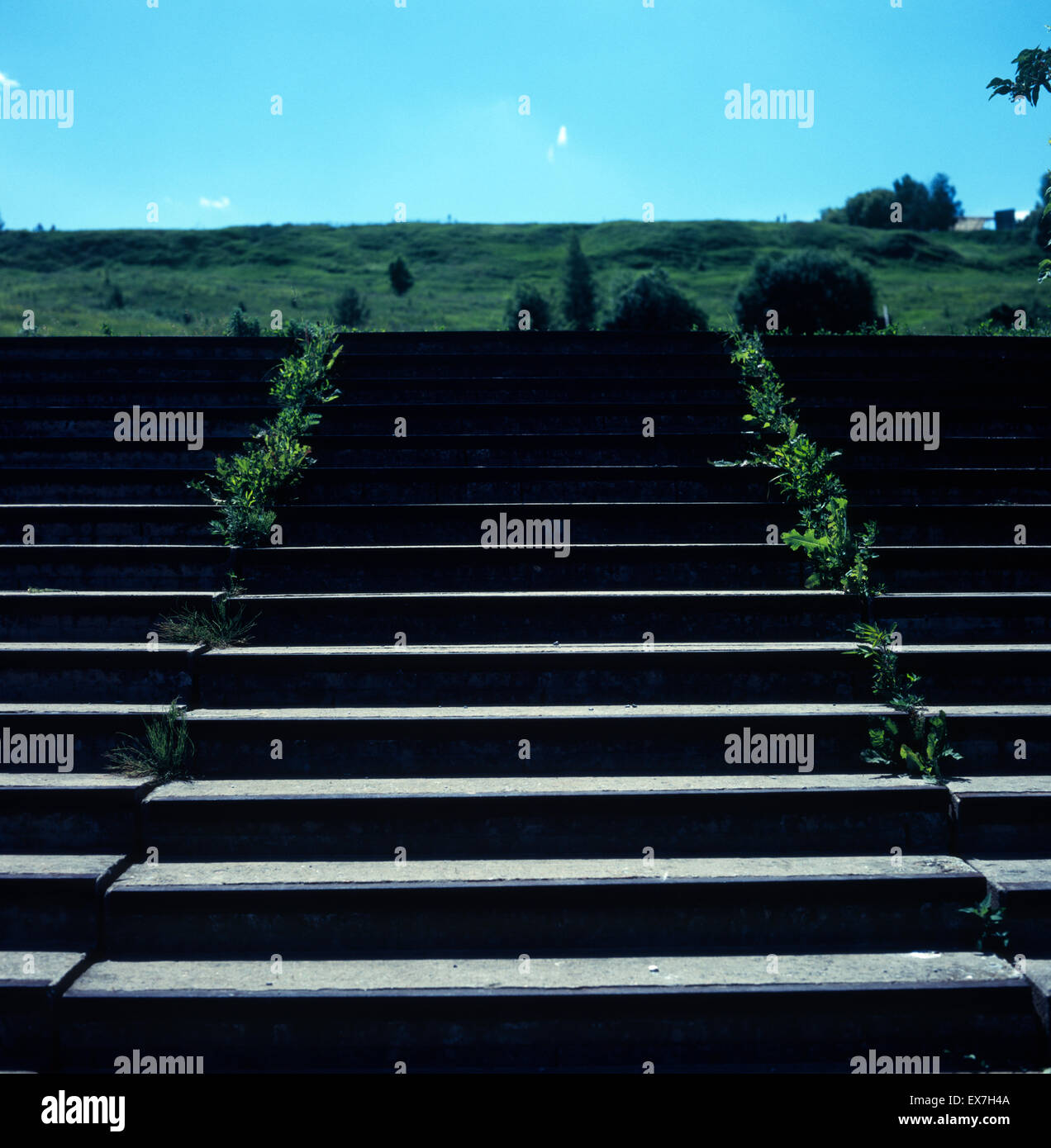 A staircase with grass Stock Photo - Alamy
