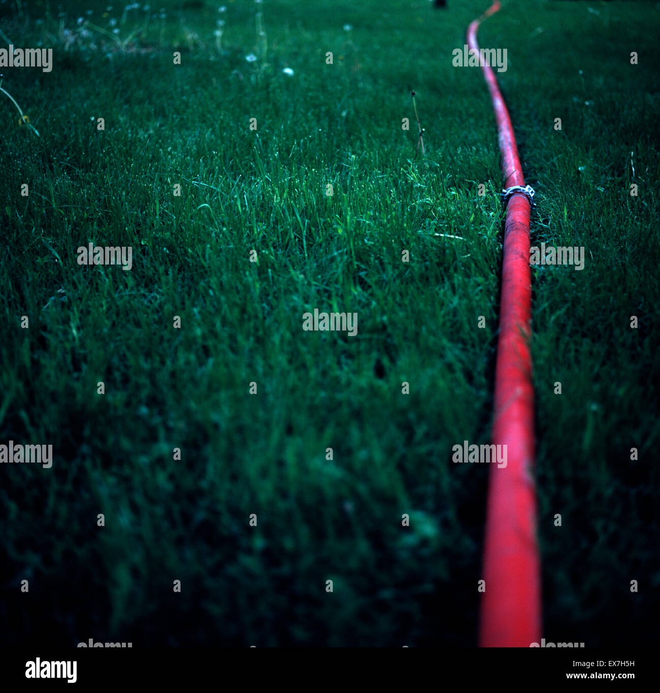 Red water hose on a grass Stock Photo - Alamy