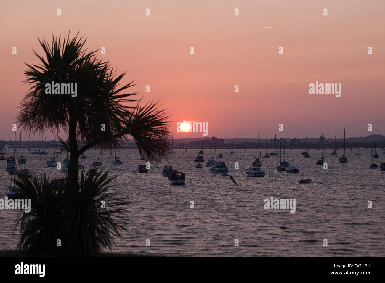 Poole harbour calm sunset hi-res stock photography and images - Alamy