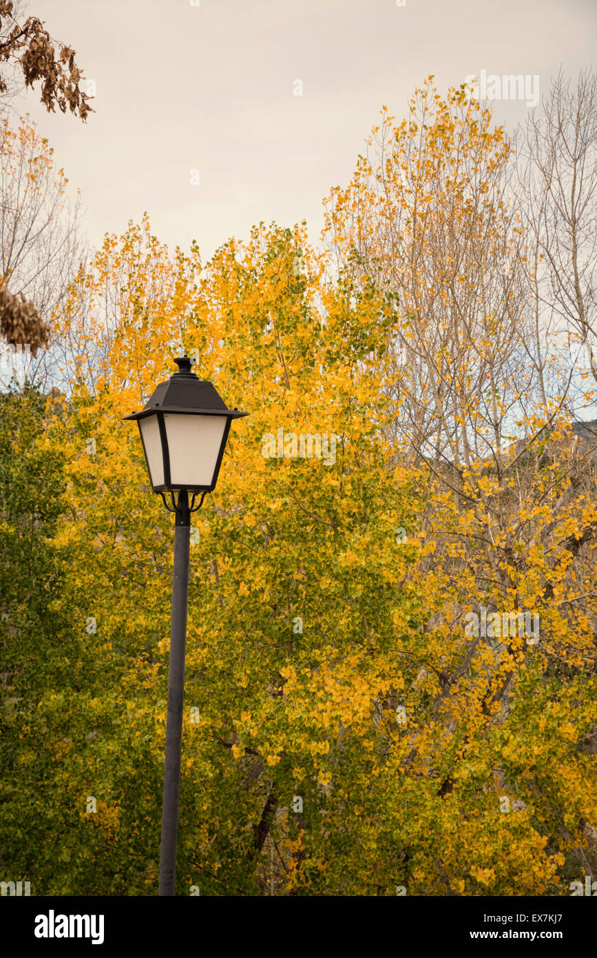 Urban park with street lights in autumn Stock Photo - Alamy