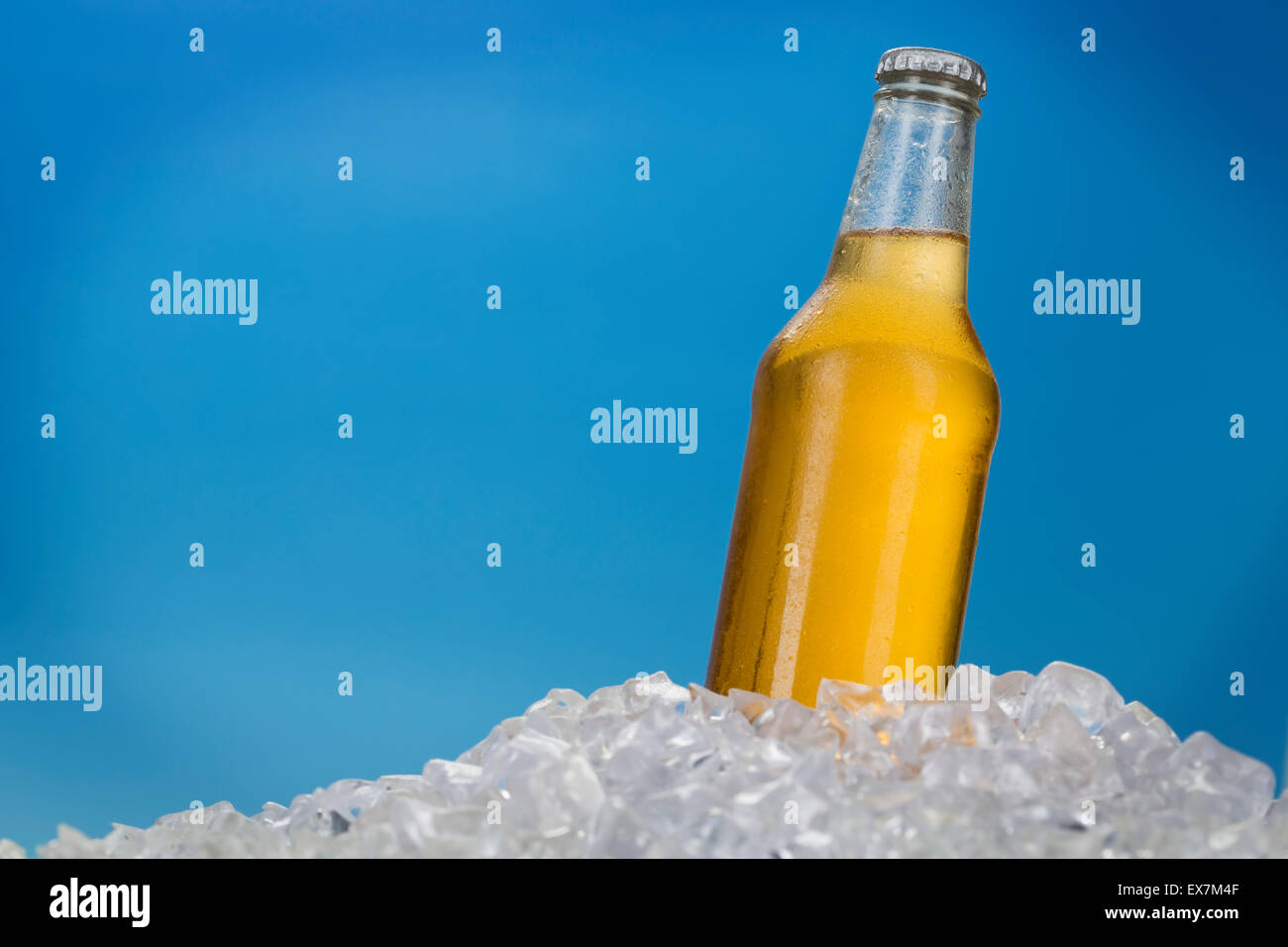 Beer bottle in ice Stock Photo - Alamy
