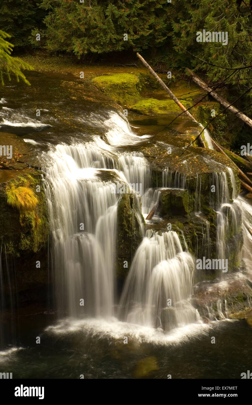 Lower Lewis River Falls, Gifford Pinchot National Forest, Washington ...