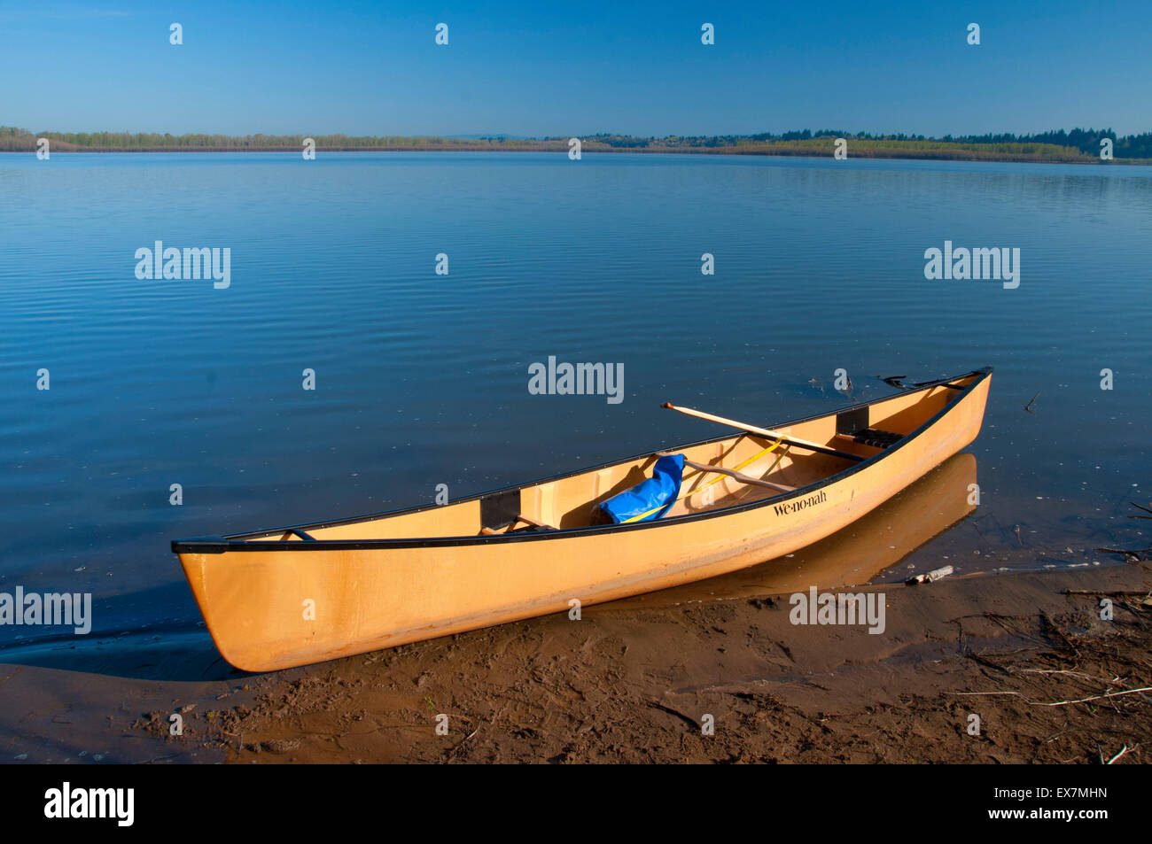 Canoe on Vancouver Lake, Shillapoo Wildlife Area, Washington Stock ...