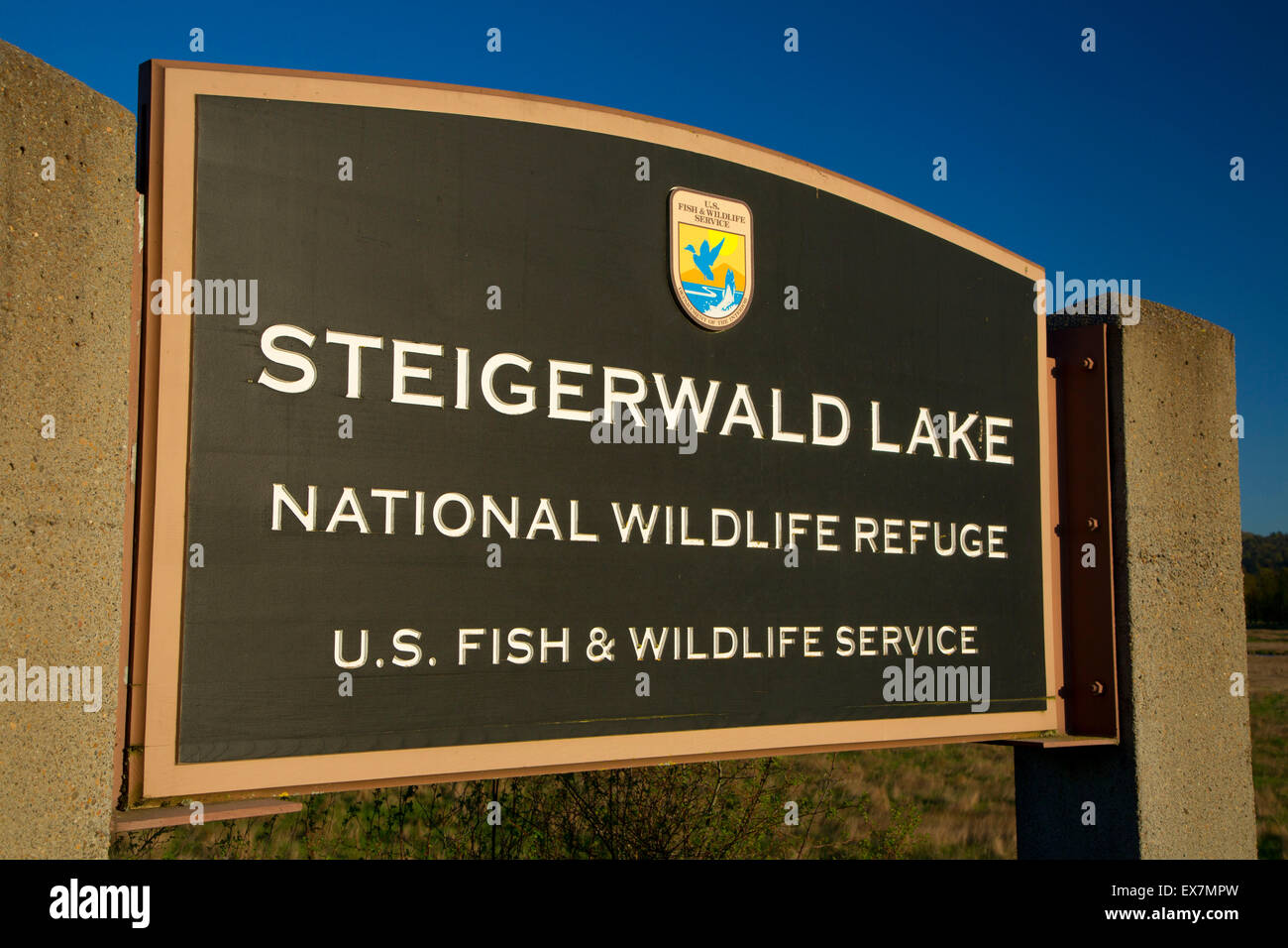 Are Dogs Allowed At The Steigerwald National Wildlife Refuge