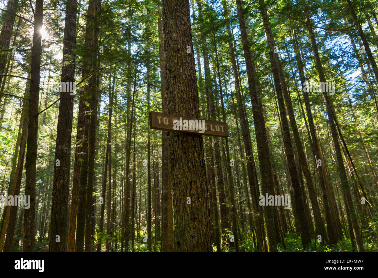 Parking lot sign Stock Photo - Alamy