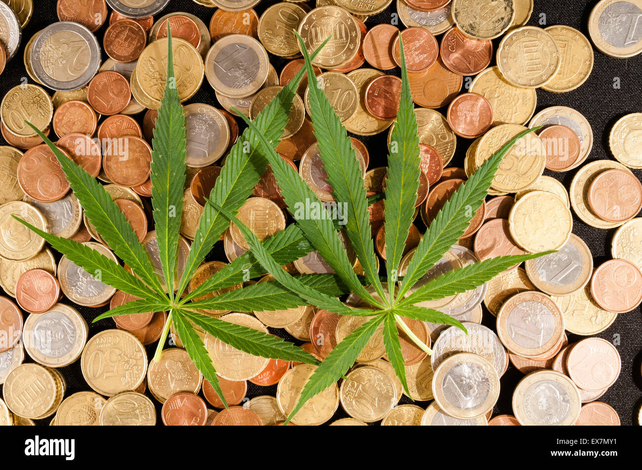 Marijuana and Money Stock Photo - Alamy