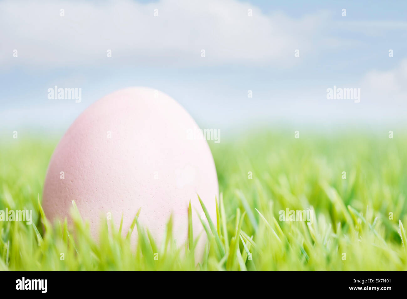 Easter egg in grass Stock Photo - Alamy