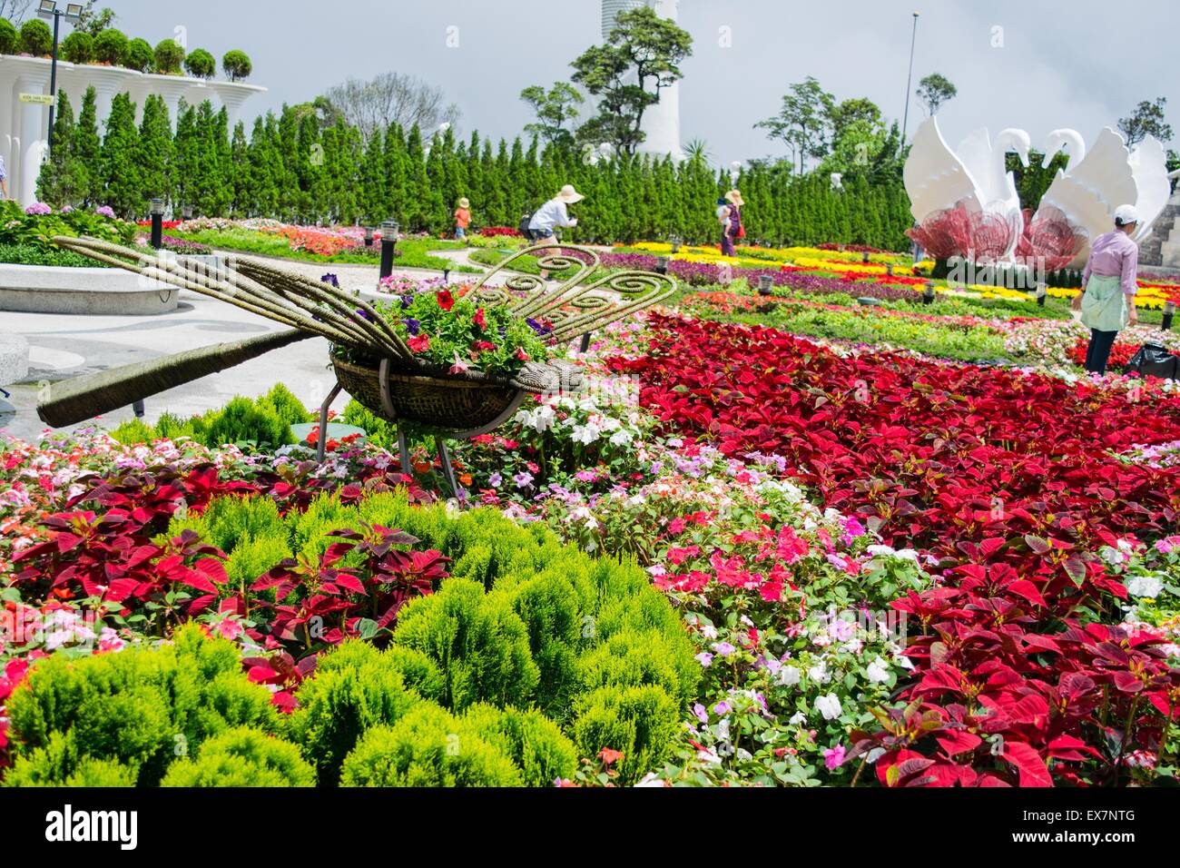 Flower garden at Ba Na Hills, Da Nang, Vietnam Stock Photo - Alamy