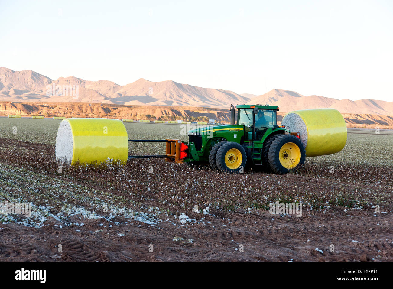 John Deere tractor transporting harvested cotton modules Stock Photo ...