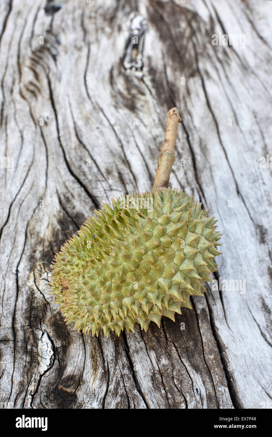 Small durian on wood table Stock Photo - Alamy