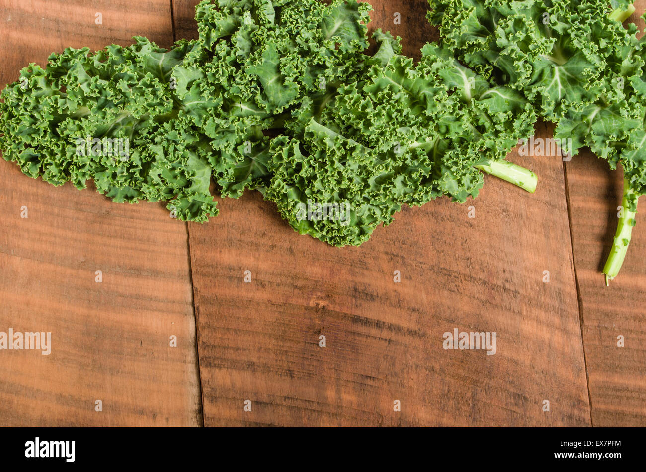 Curly border hi-res stock photography and images - Alamy