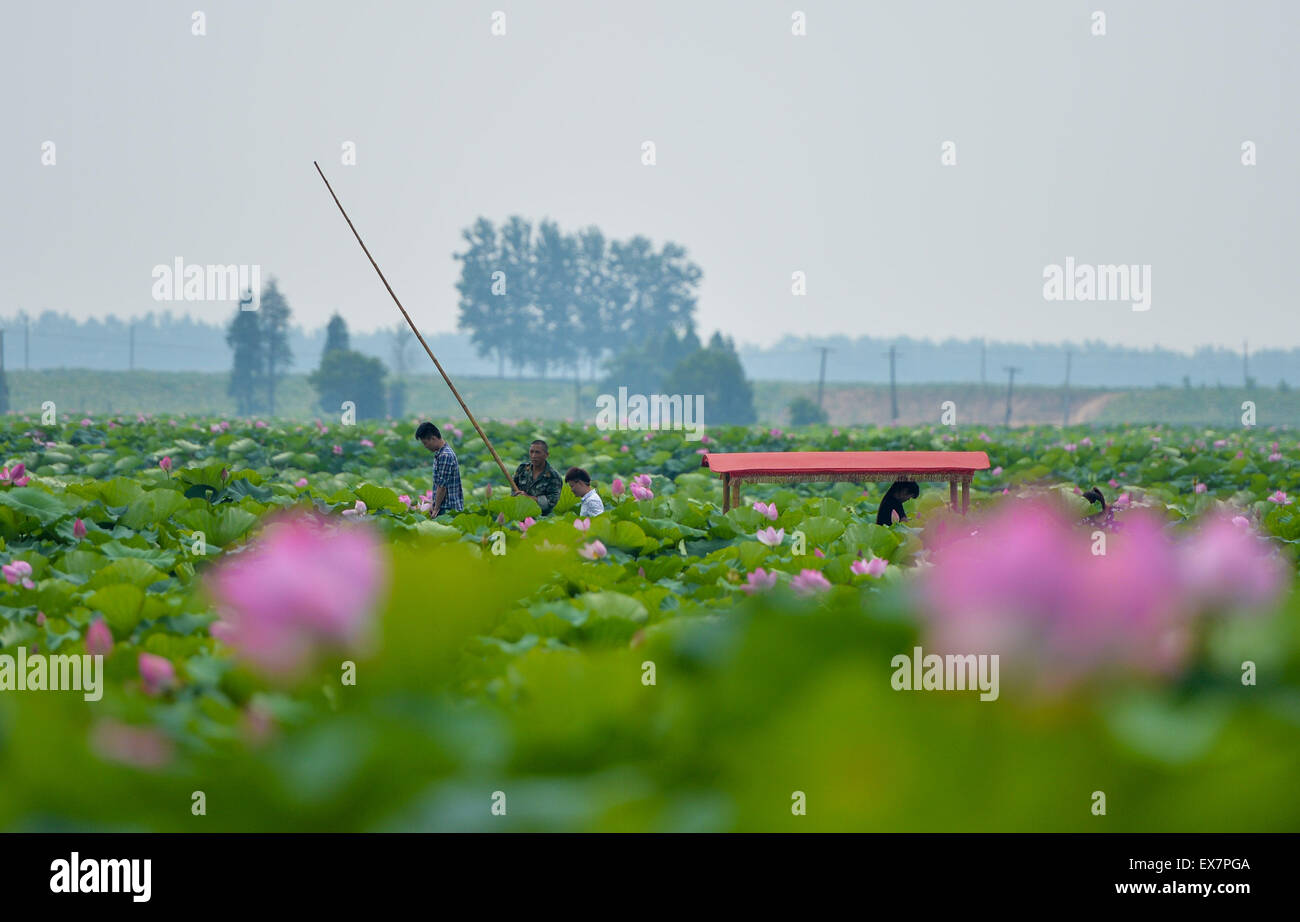 Junshan, China's Hunan Province. 8th July, 2015. Tourists taking a trip ...