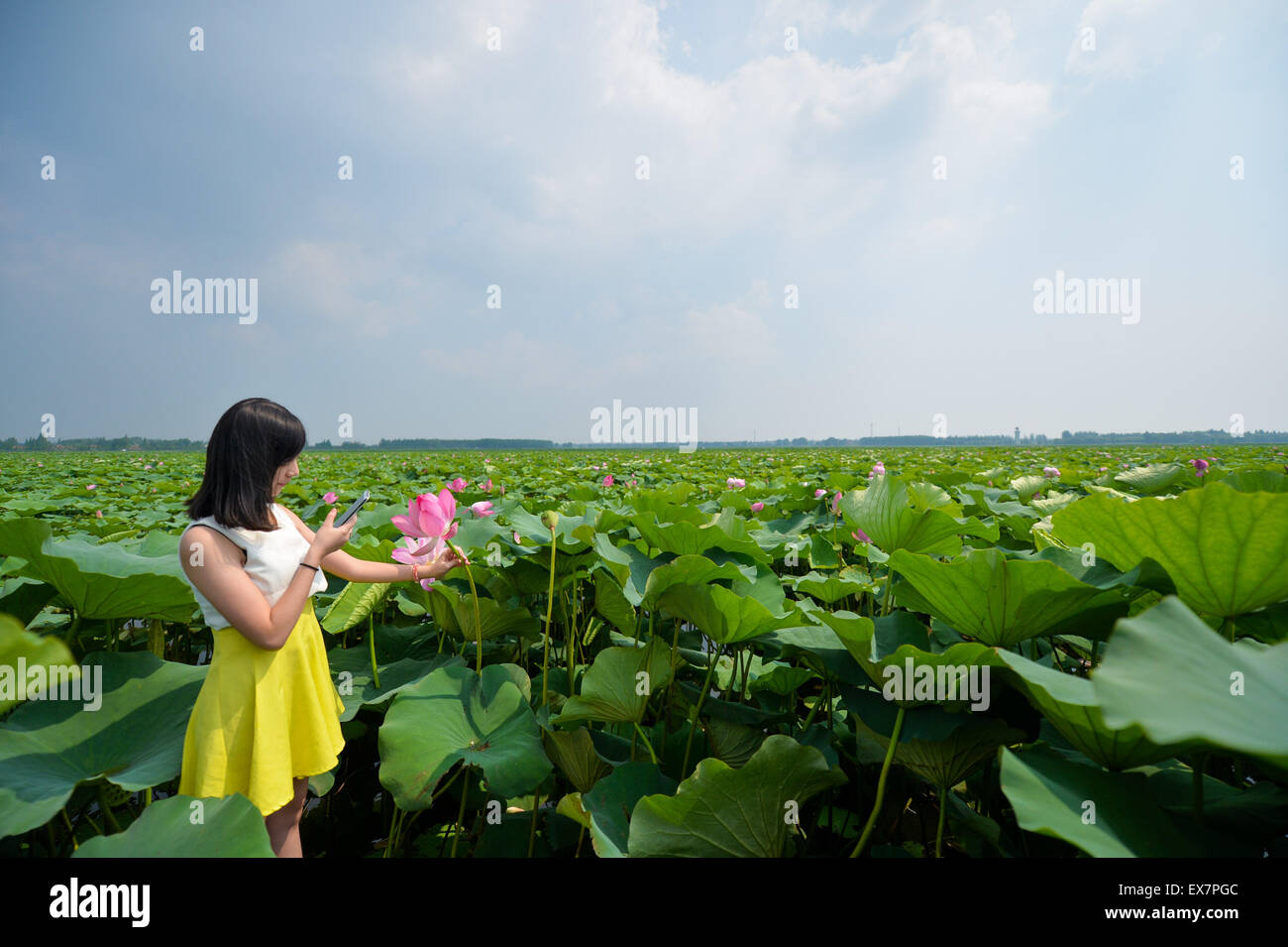 Junshan, China's Hunan Province. 8th July, 2015. A tourist takes ...