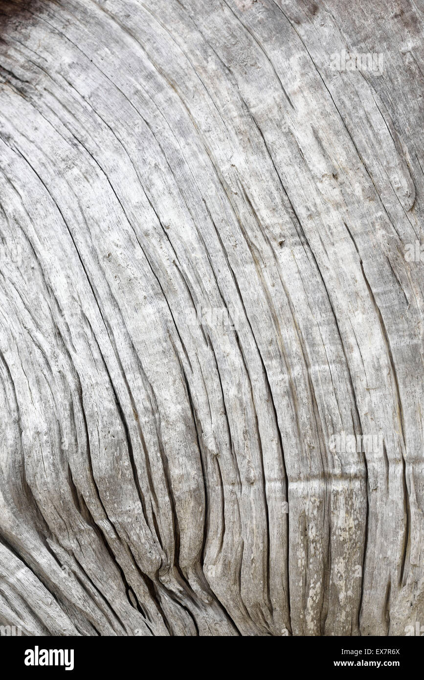 Antique wood texture Stock Photo - Alamy