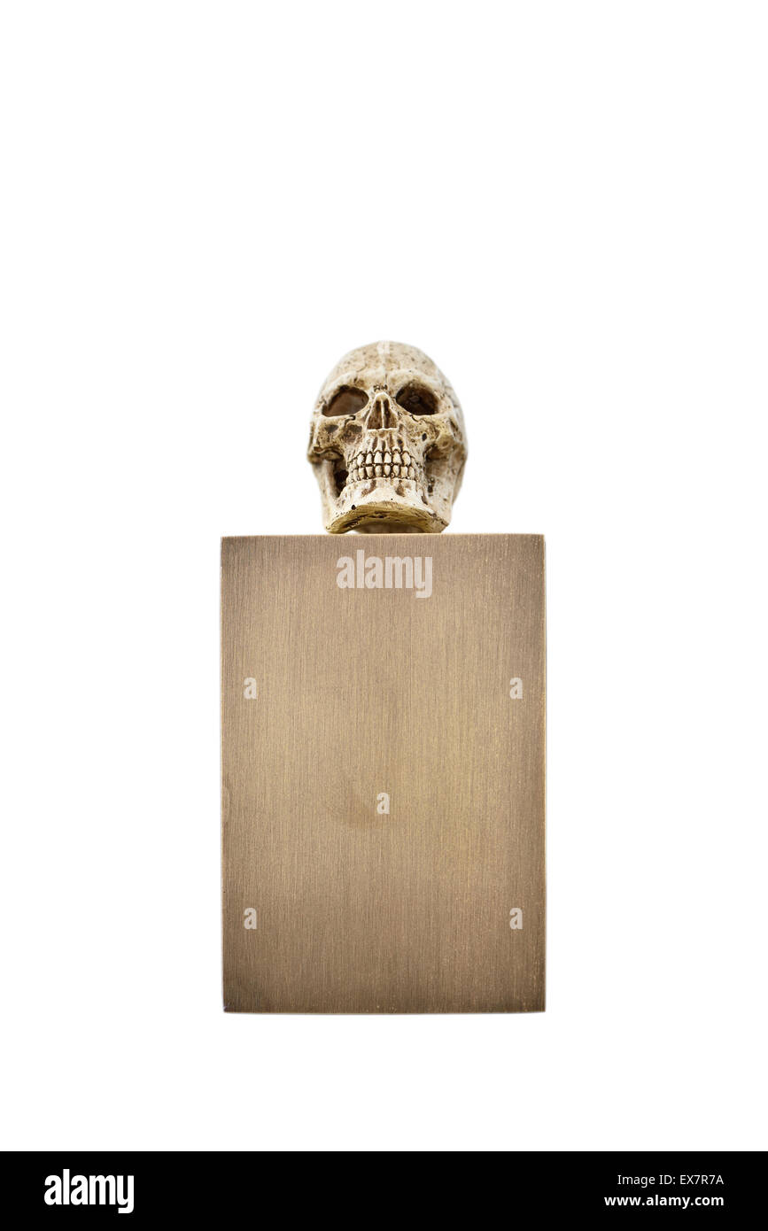 Small skull hi-res stock photography and images - Alamy