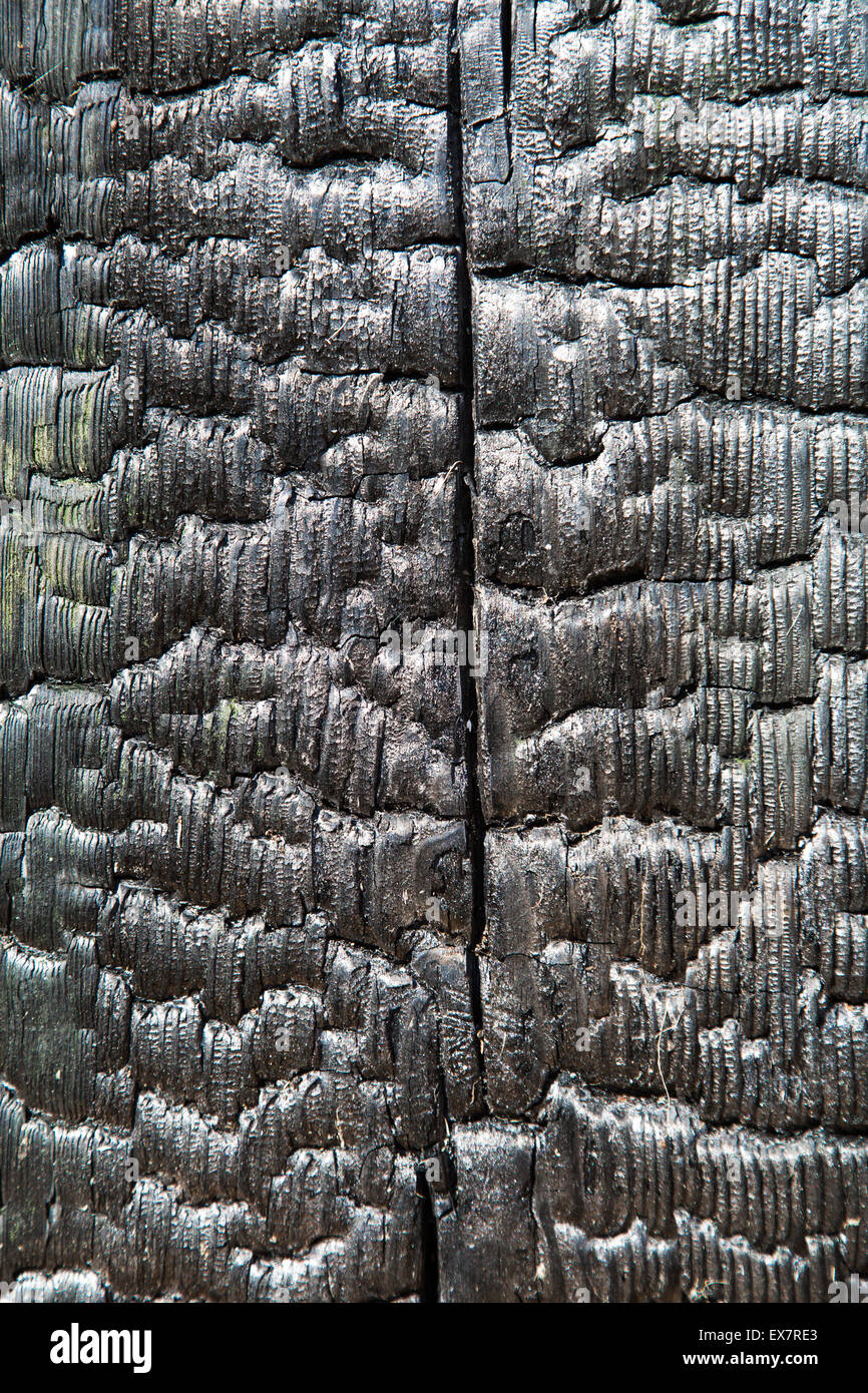 background of the burn Board Stock Photo - Alamy