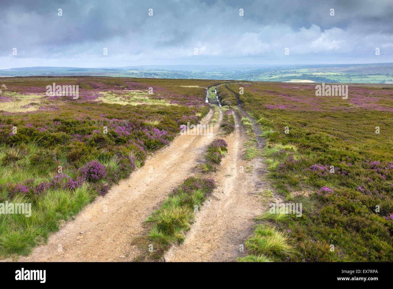 A rough track on Beacon Hill Danby in the North Yorkshire Moors ...
