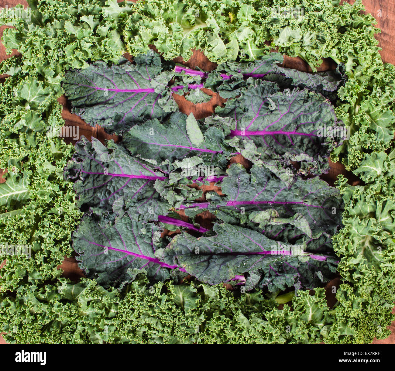 Curly and red kale leaves arranged Stock Photo - Alamy
